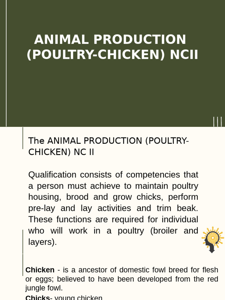 Review App Nc2 | PDF