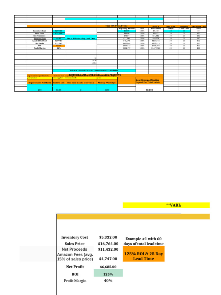 Maximizing ROI and Lead Time for Amazon Sales | PDF | Return On ...