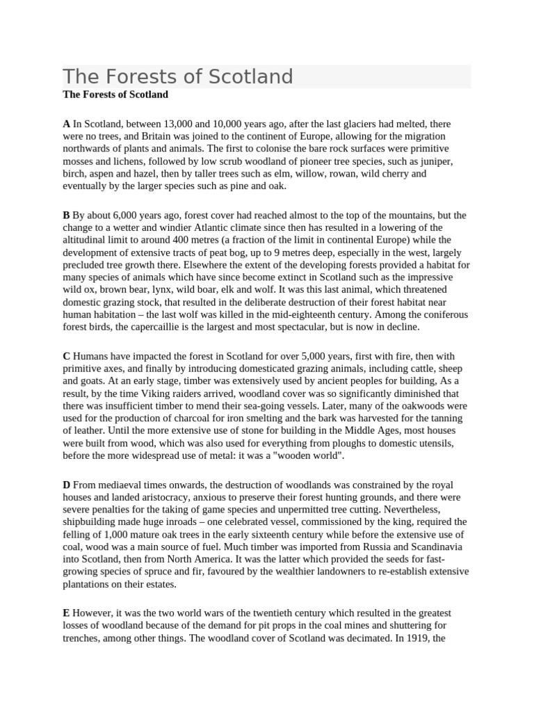 The Forest of Scotland | PDF