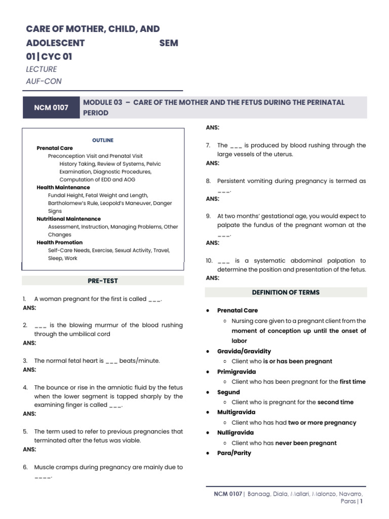 03 LEC Care of The Mother and The Fetus During The Perinatal Period | PDF