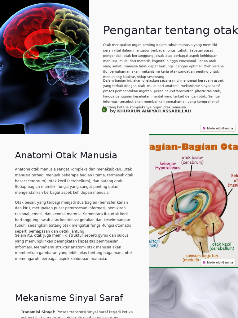 Pengantar Tentang Otak | PDF