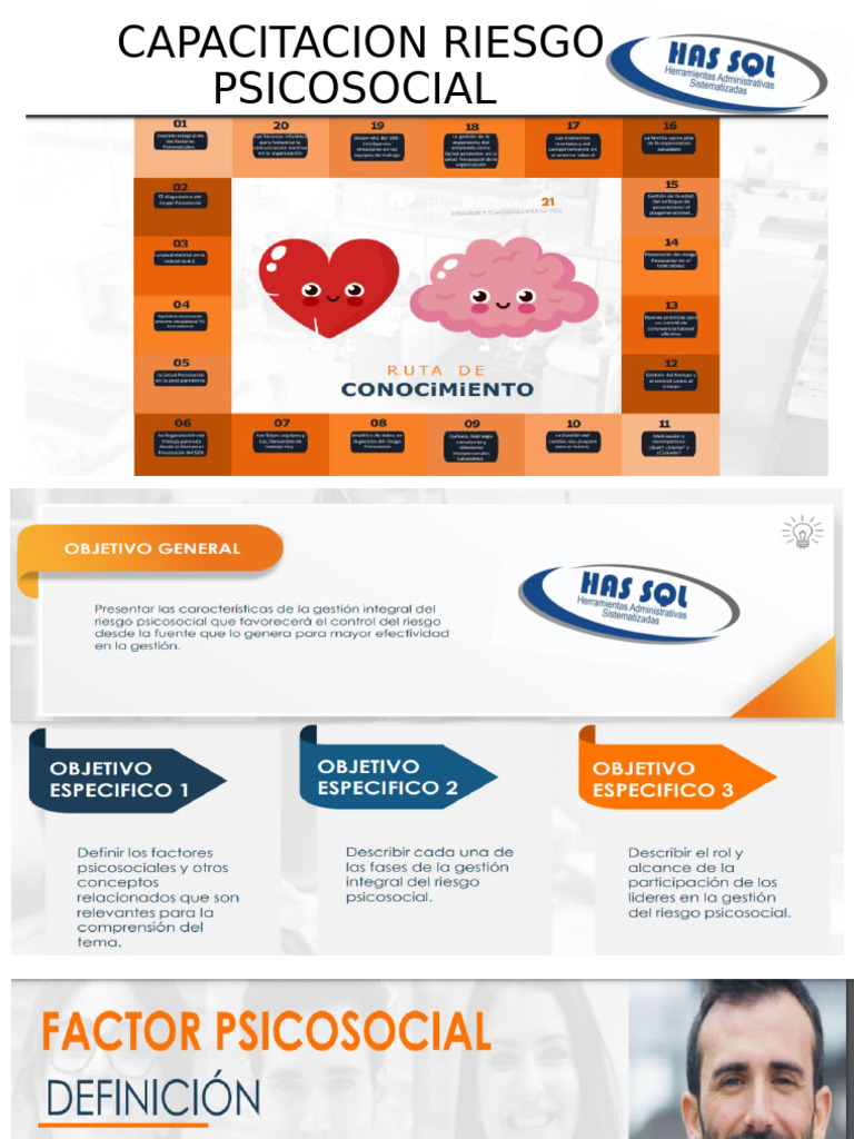 Capacitación Riesgo Psicosocial | PDF