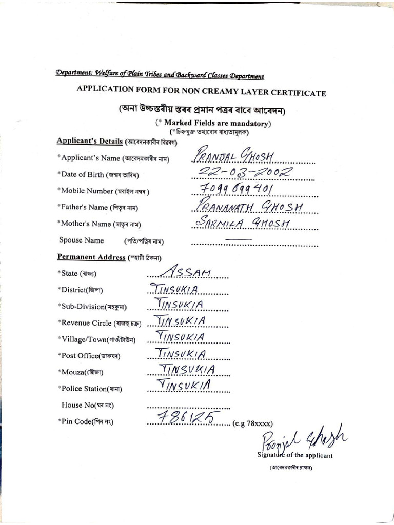 NCL Manual Application. | PDF