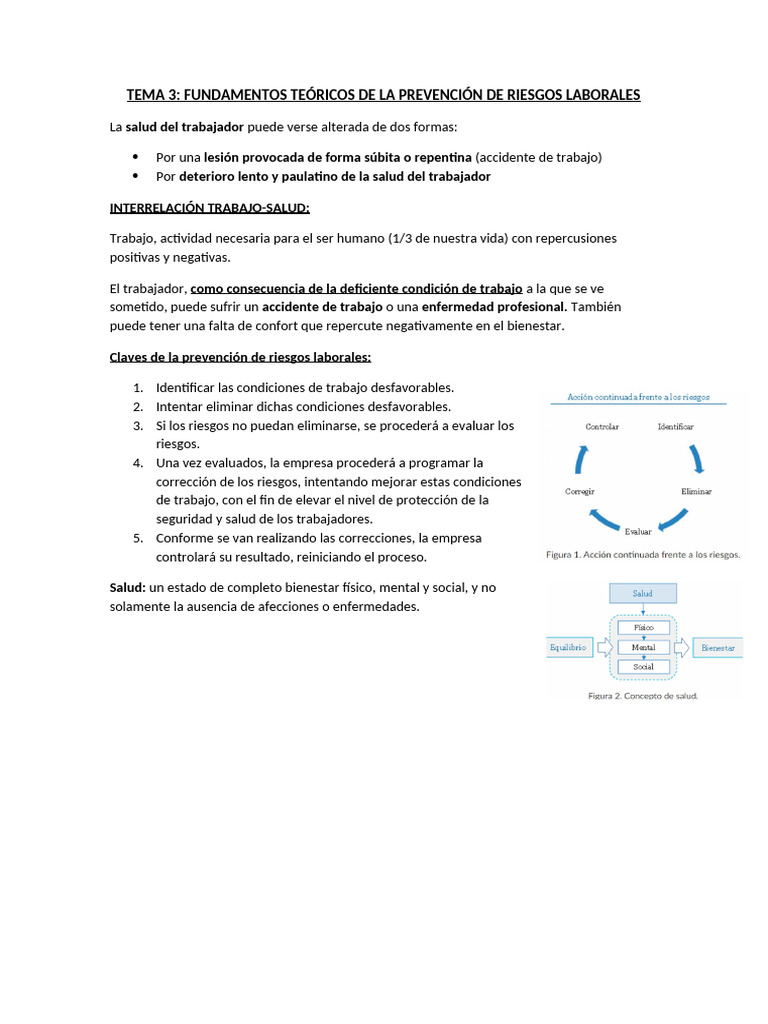 TEMA3. Fundamentos Teóricos de La PRL | PDF