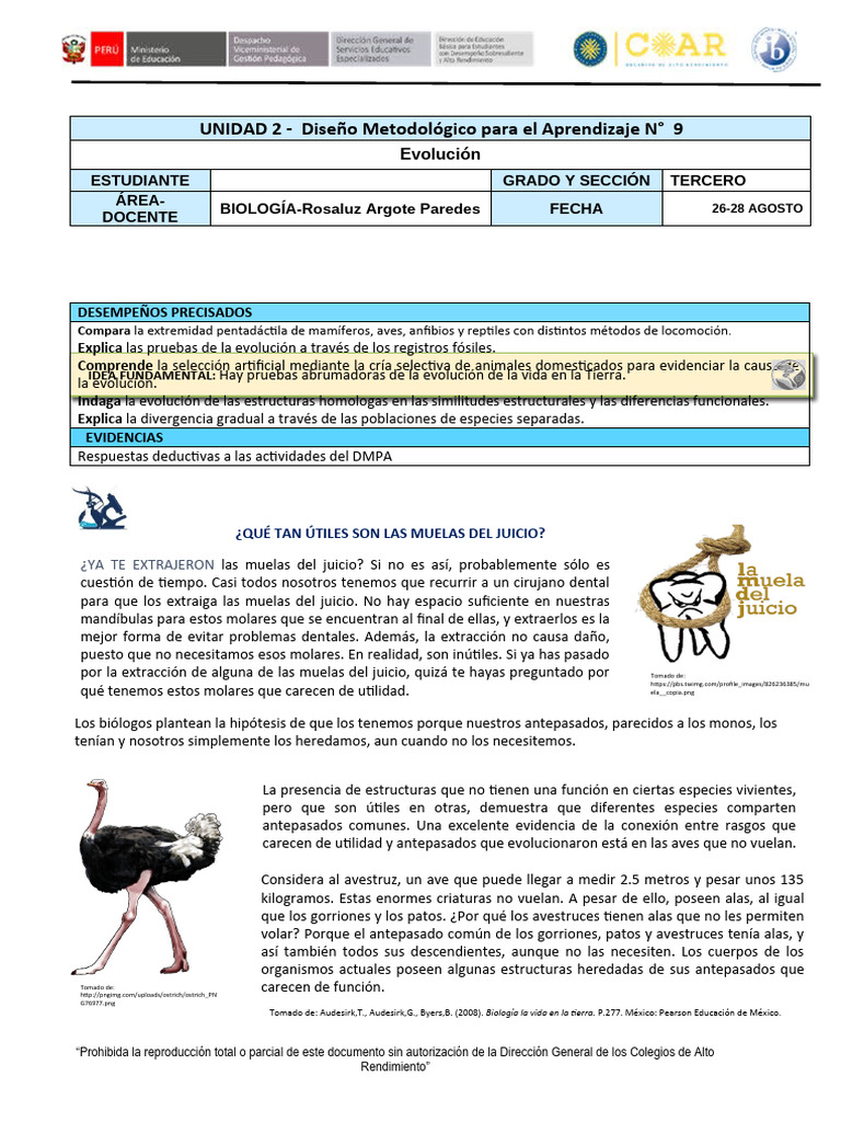 DMpA 9-Evolución | PDF