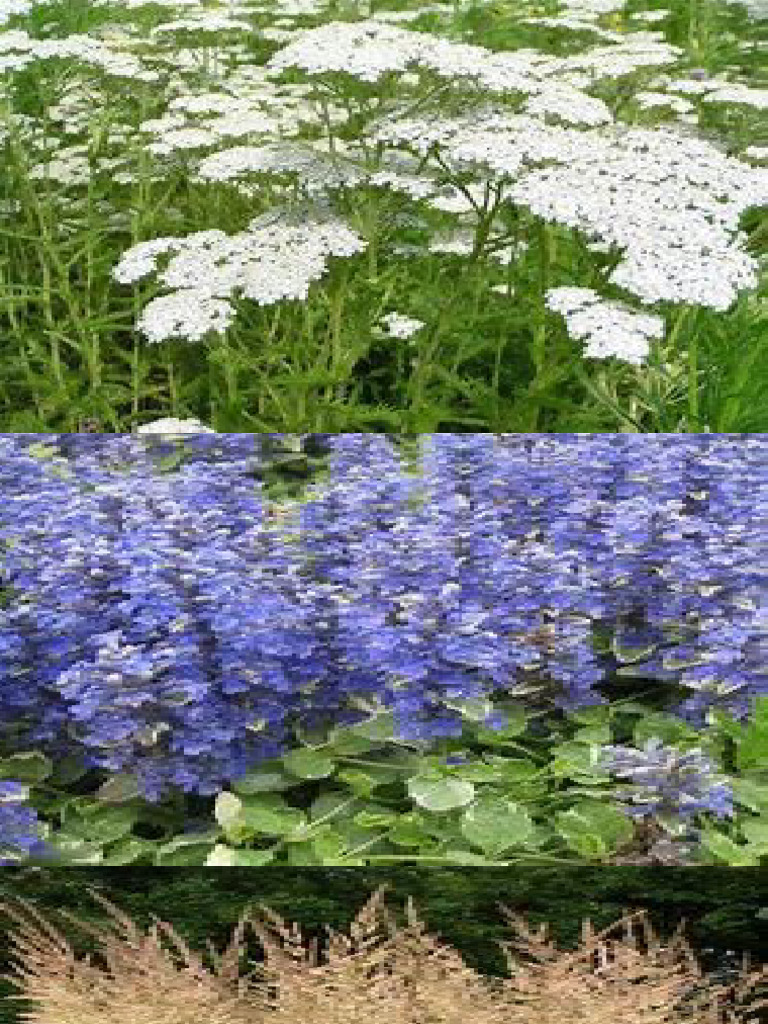 Presentation 1 | PDF