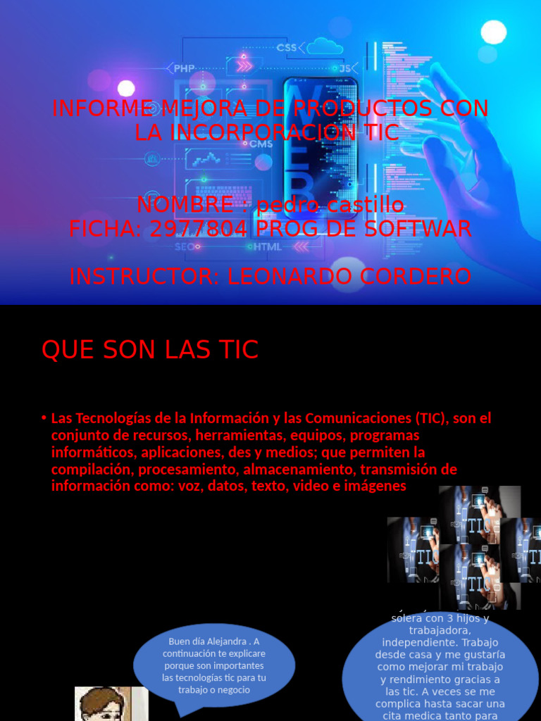 Informe Mejora de Productos Con La Incorporacion Tic | PDF