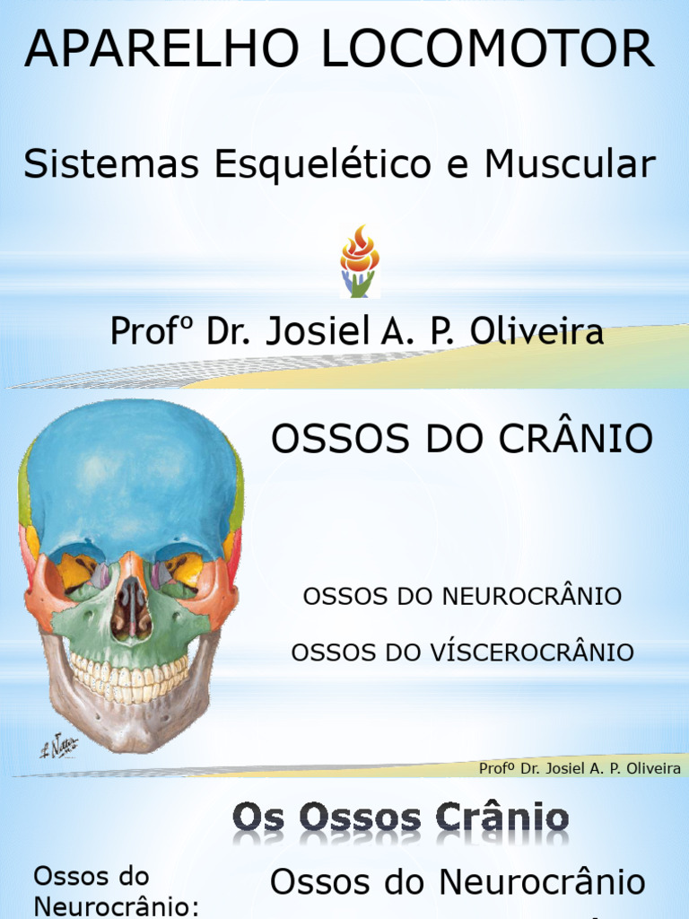 Aula 5 - Ossos Do Crânio | PDF