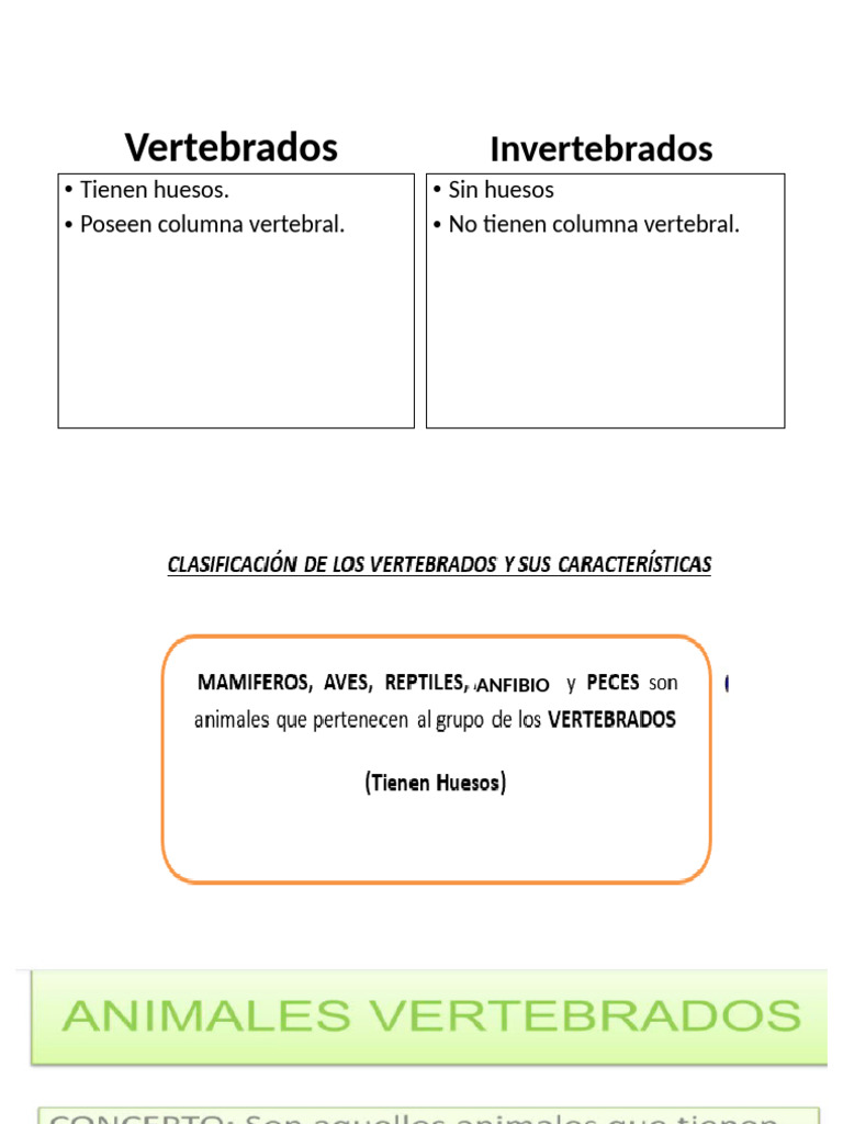 Presentación Vertebrados Pawer | PDF