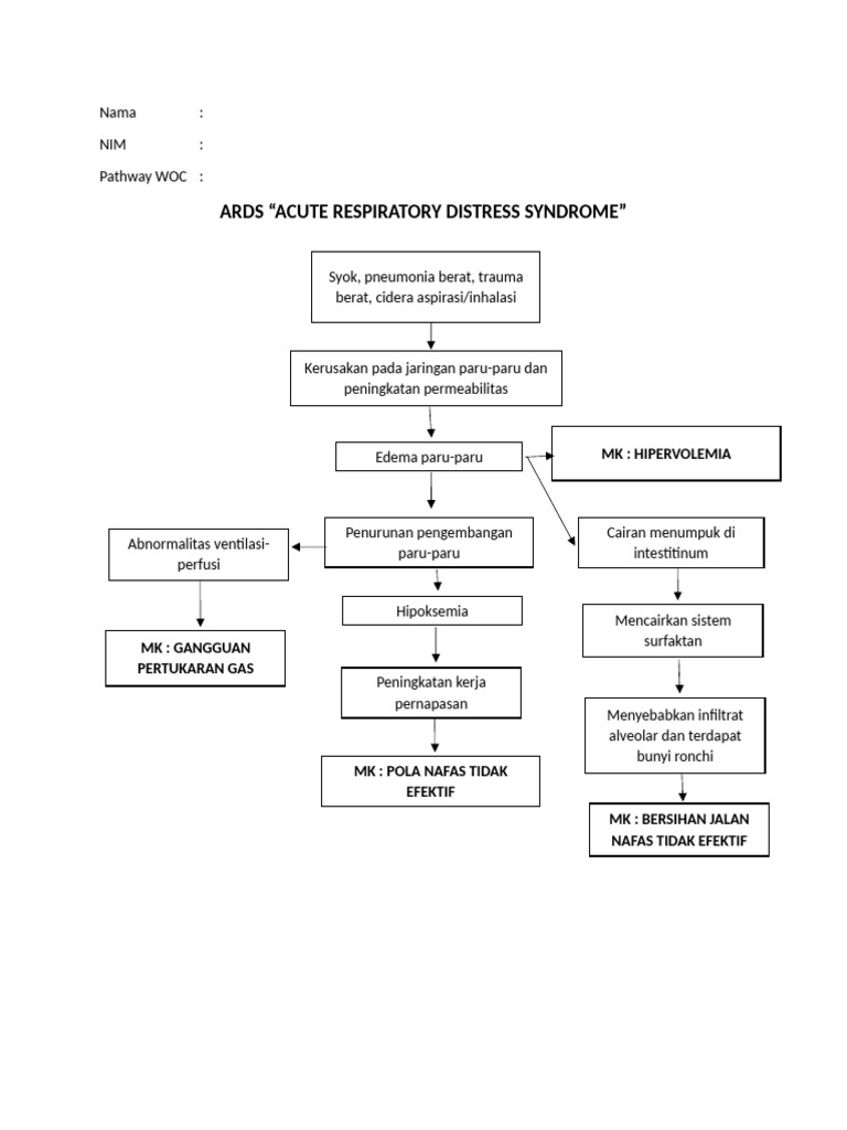Woc&analisa Data Ards | PDF