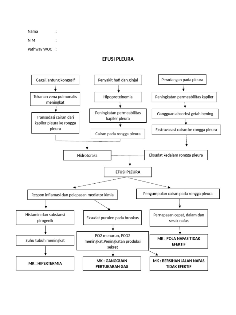 Woc&Analisa Data Efusi Pleura Fix | PDF