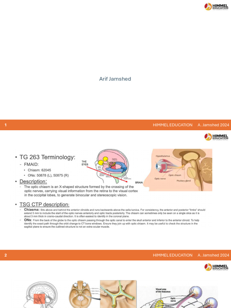 Optic Pathway Anatomy Guide | PDF