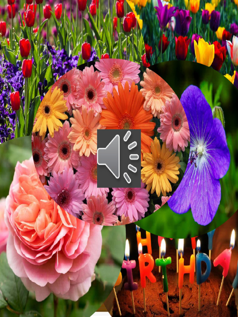 Advt Video File | PDF