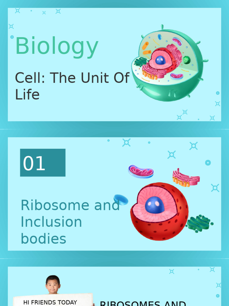 Biology Subject For High School - Animal Cell by Slidesgo | PDF