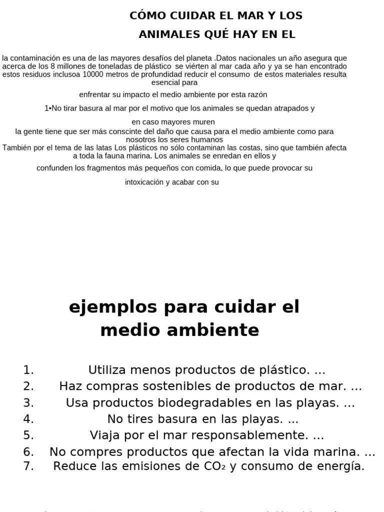 Cómo Cuidar El Mar Y Los Animales Qué Hay en El | PDF