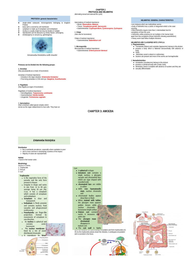 Parasitology- Chap 2-5 | PDF
