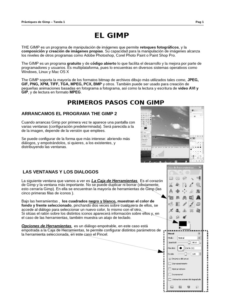 Gimp Practica Tanda1 | PDF