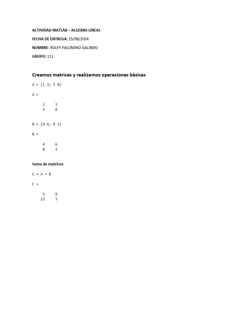 ACTIVIDAD MATLAB ROLFY P^ | PDF
