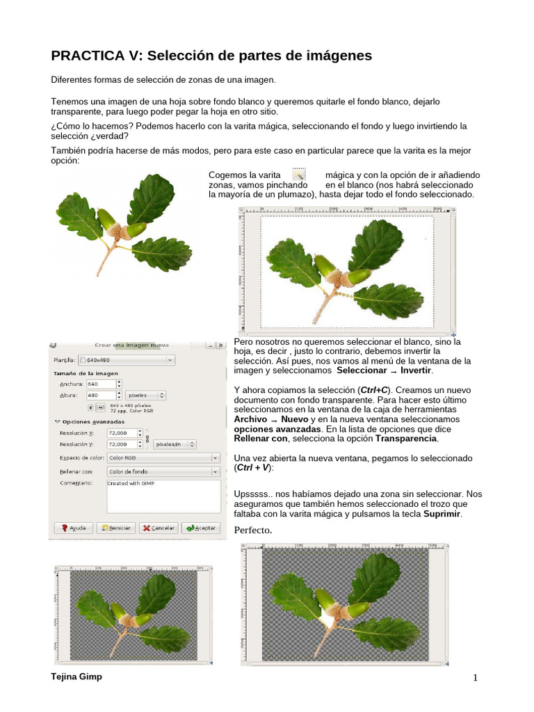Gimp Practica Tanda2 | PDF