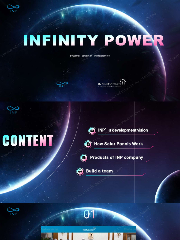 INP Company Information | PDF