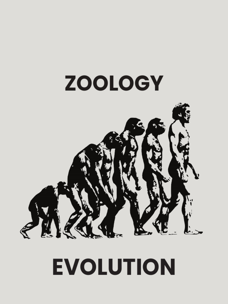 evolution summary | PDF