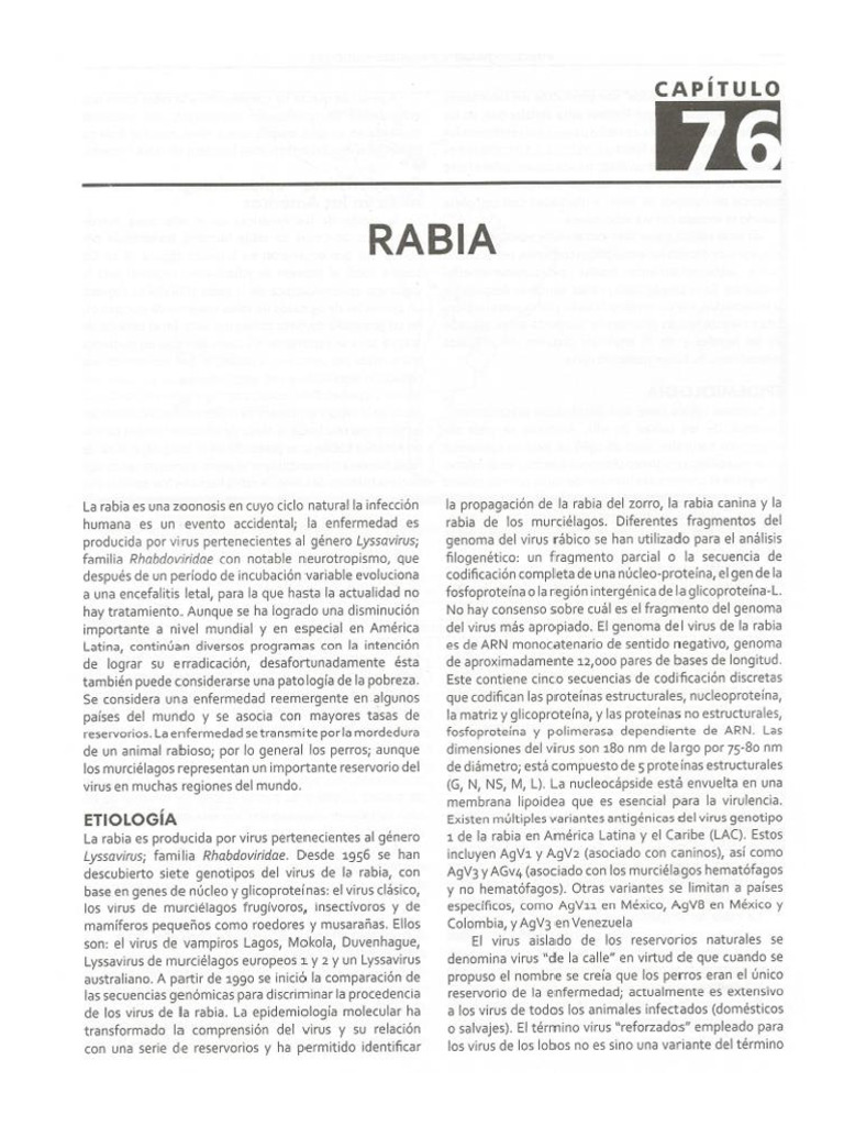 Rabia | PDF