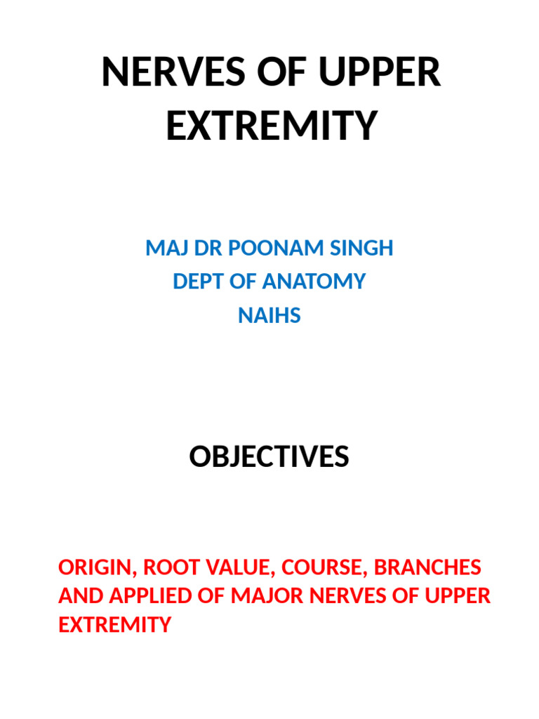 Nerves of The Upper Extremity | PDF