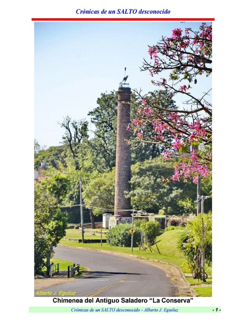 ISSUU PDF Downloader | PDF