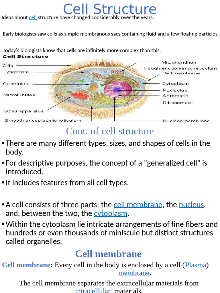 Bms 2.1 Lecture 2 On Cell Structure | PDF