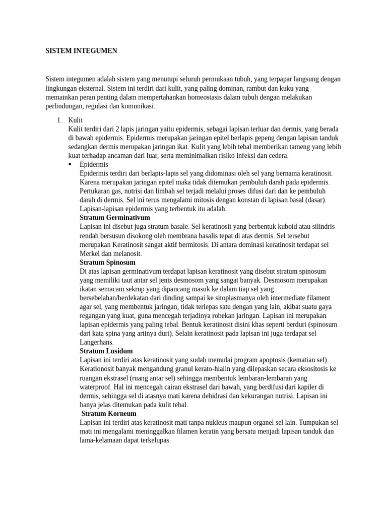 Sistem Integumen | PDF