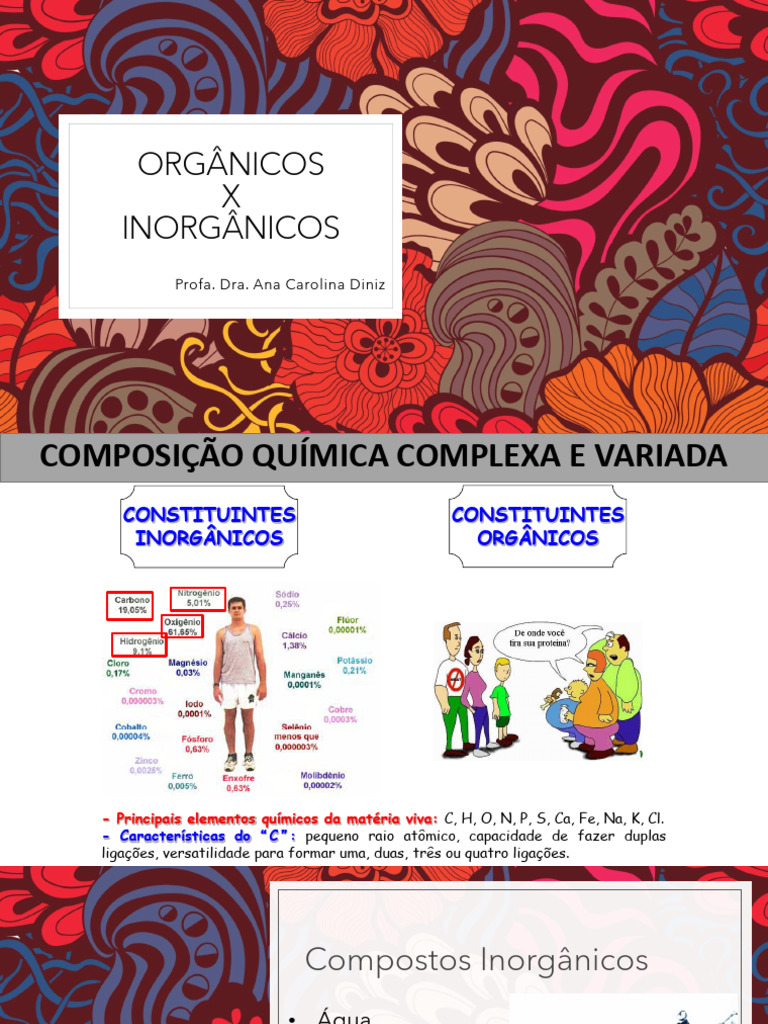 Aula 02 - Orgânicos X Inorgânicos | PDF