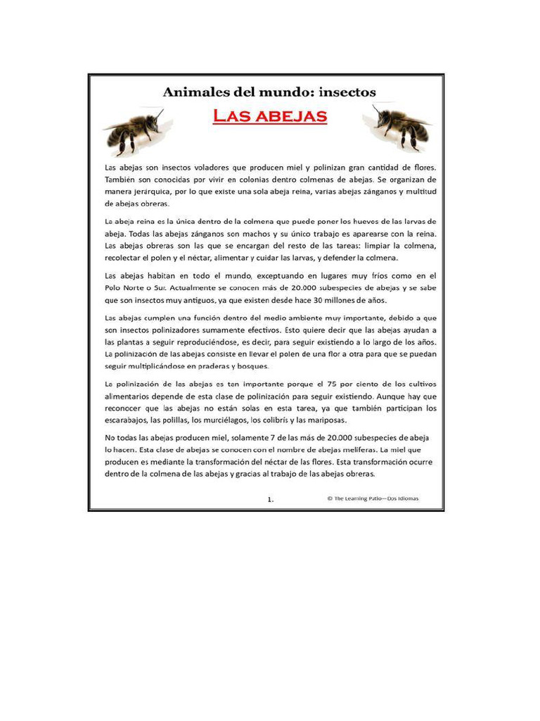 Las abejas | PDF
