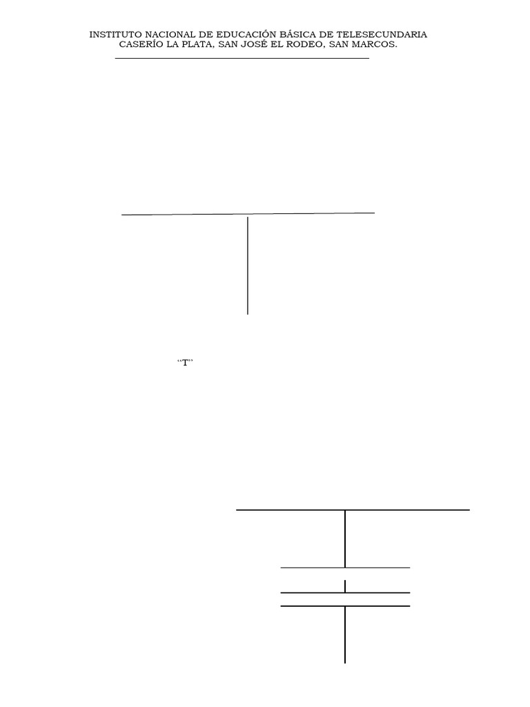 Ejercicios T Grafica de Contabilidad | PDF