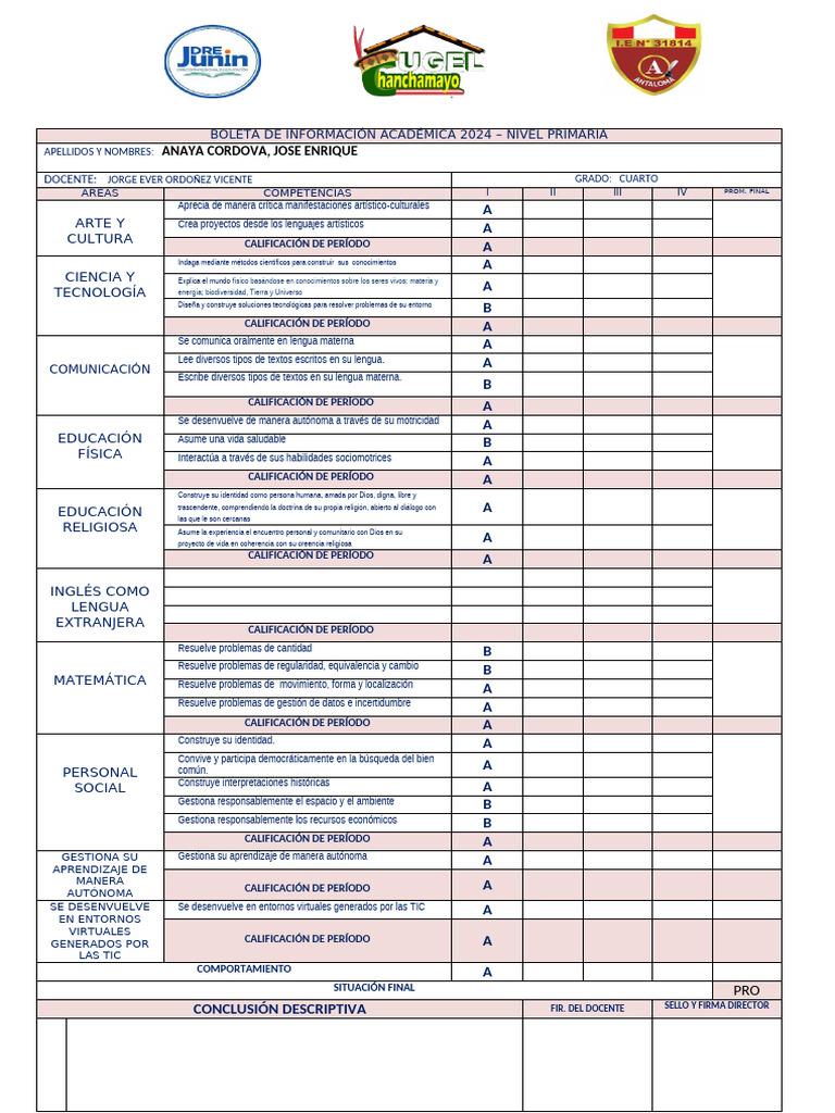 Boleta Informativa 2024 | PDF