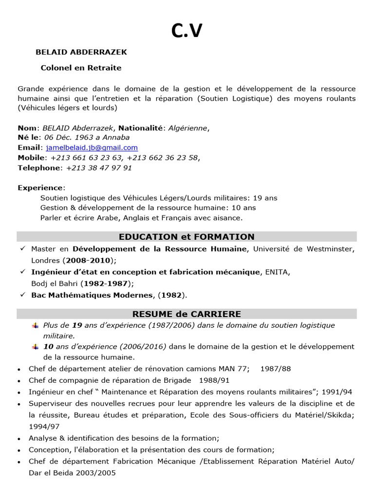 CV FR | PDF