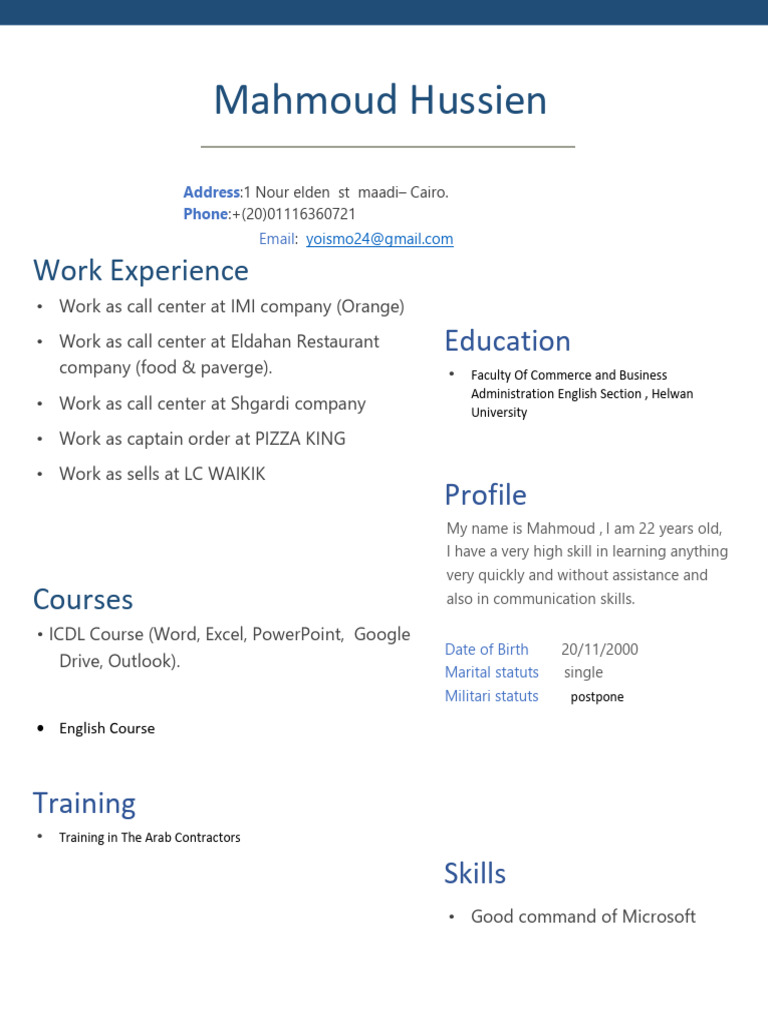Mahmoud Hussien: Work Experience | PDF