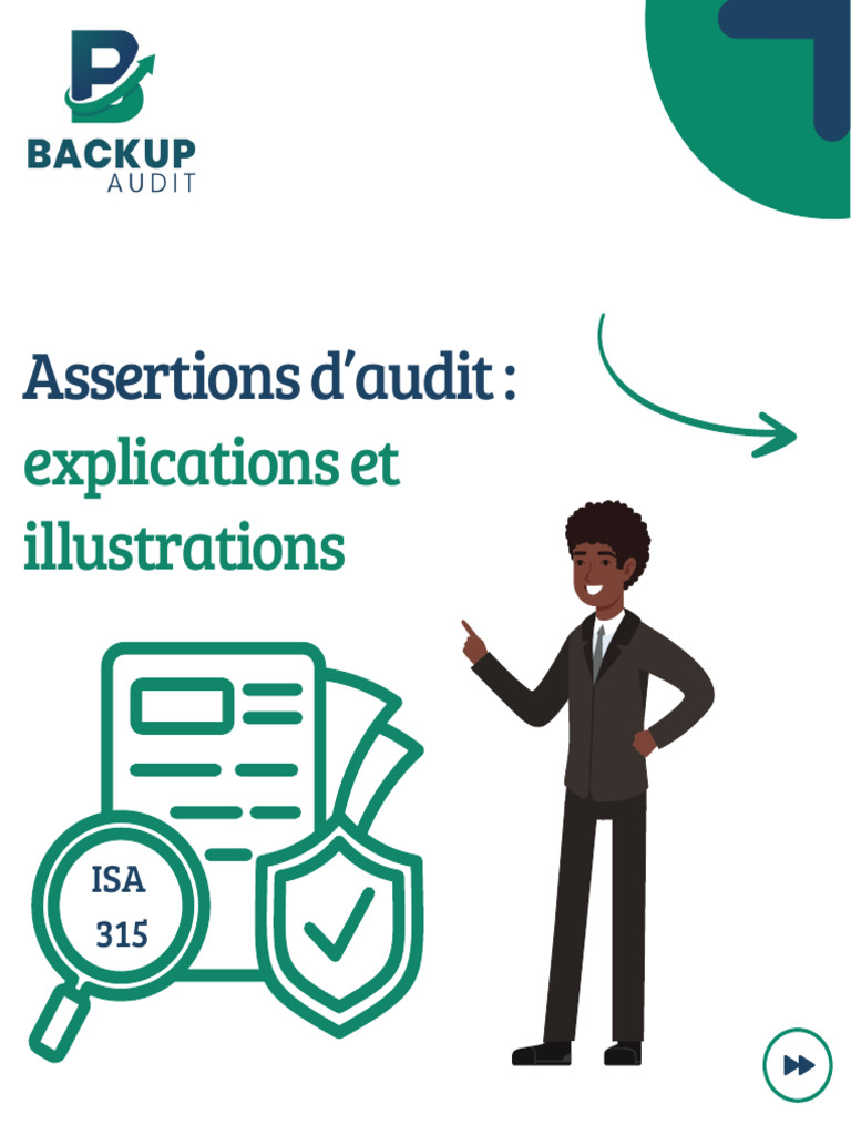 Assertion Audit | PDF