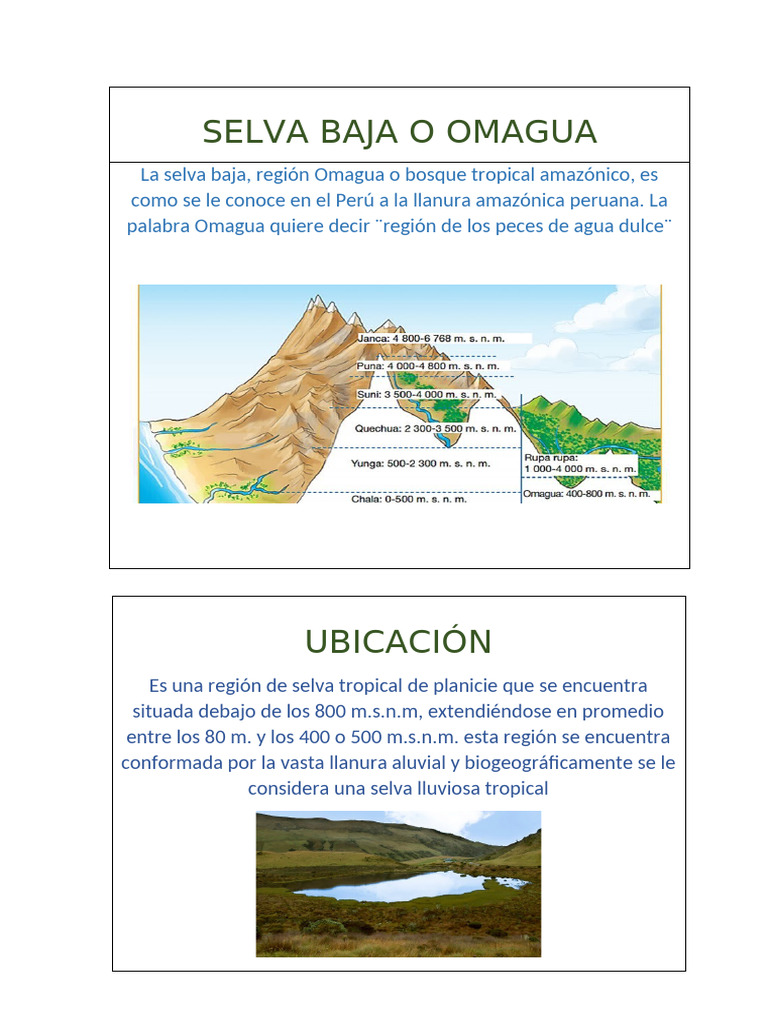 SELVA BAJA O OMAGUA | PDF