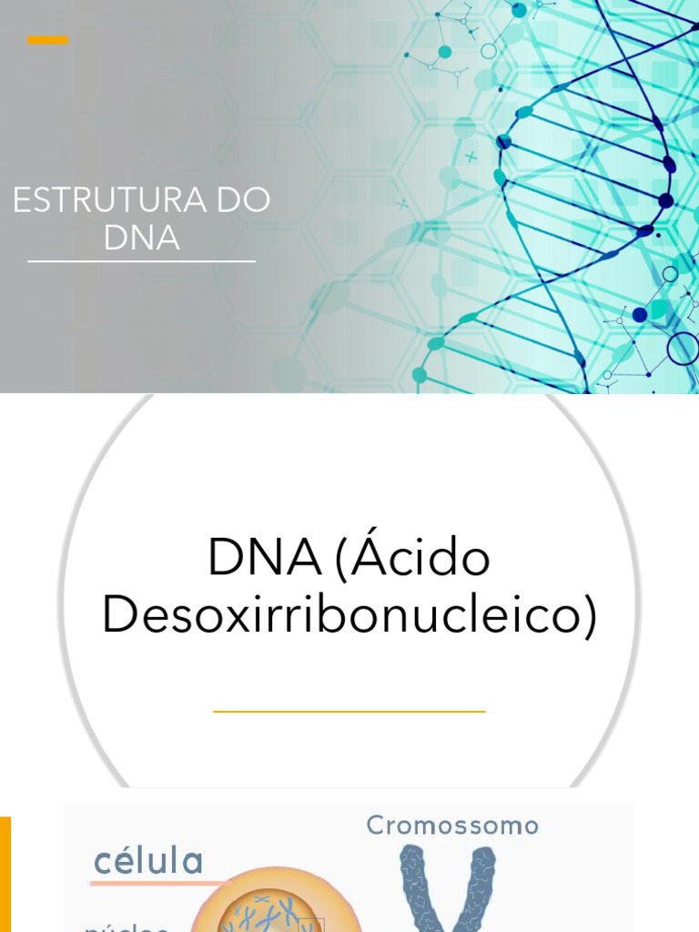 Aula 01 e 02 - 3A Estrutura Do DNA | PDF