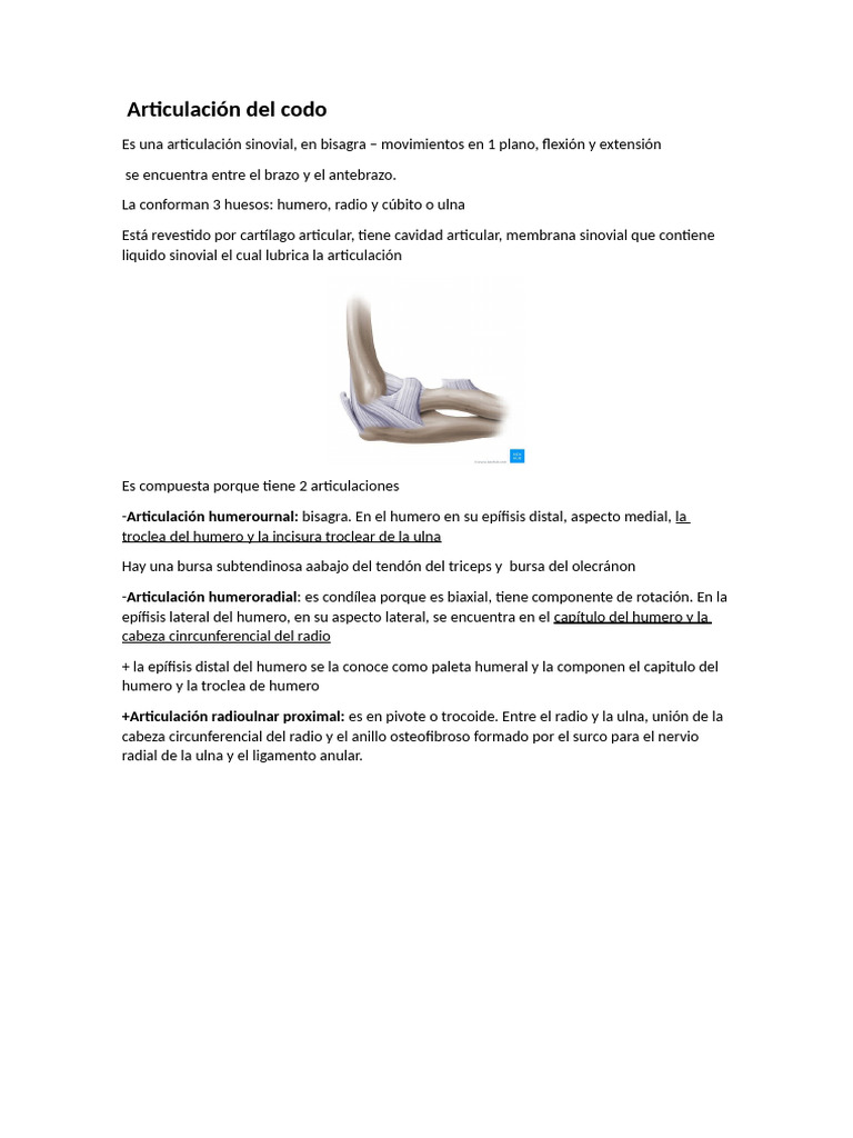 5.-Articulación Del Codo | PDF