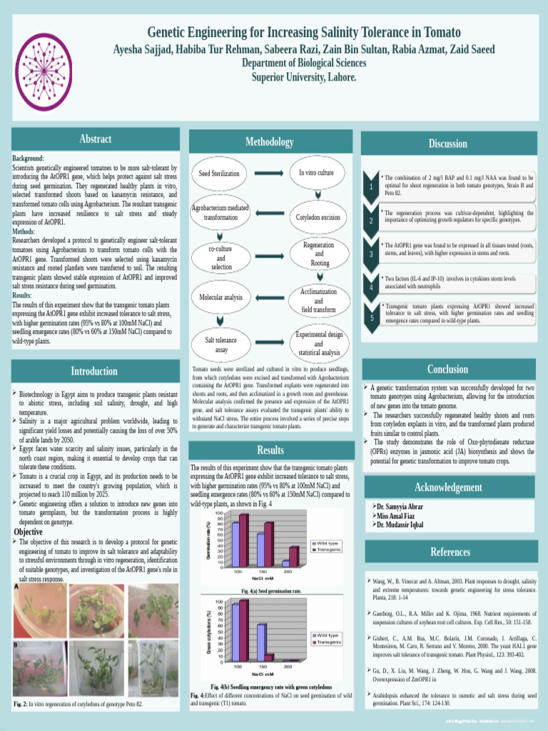 PBL 2024 Final | PDF