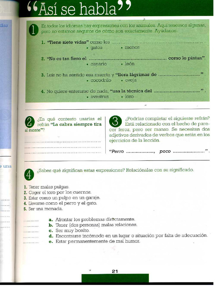 Uso - Interactivo - Del - Vocabulario - A-B1 22 | PDF
