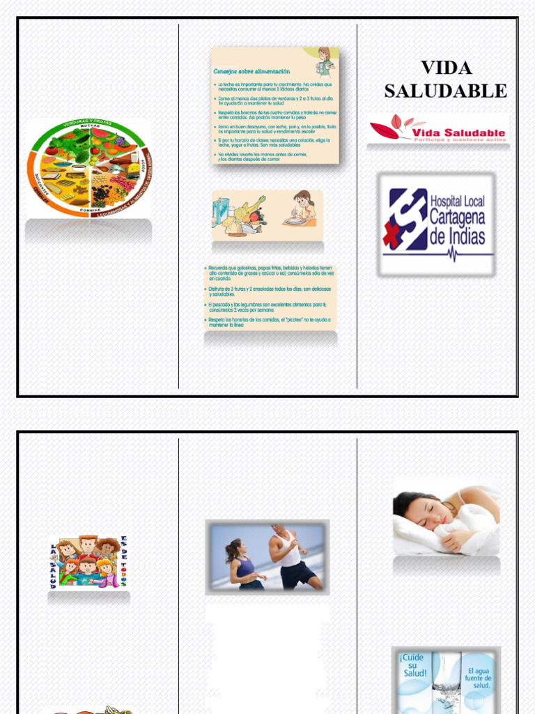 Triptico de La Vida Saludable | PDF