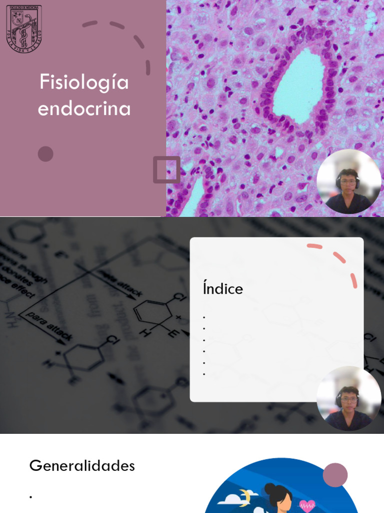 7 FisiologÃ A Endocrina | PDF