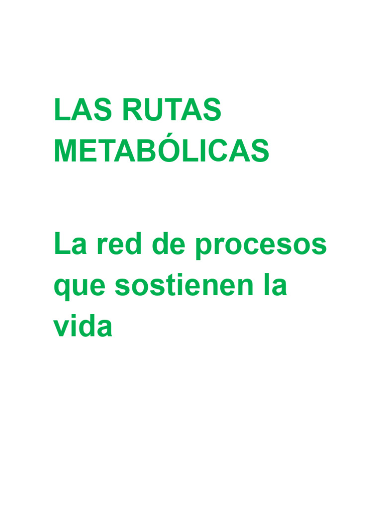 las-rutas-metab-licas-red-de-procesos-que-sostienen-la-vida-pdf