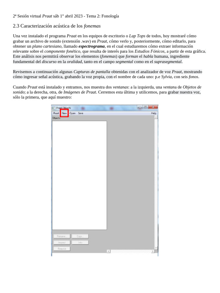 Como Instalar Pratt | PDF