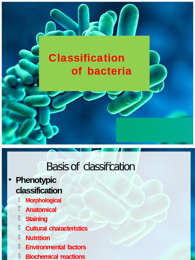 Classification and Identification of Bacteria | PDF