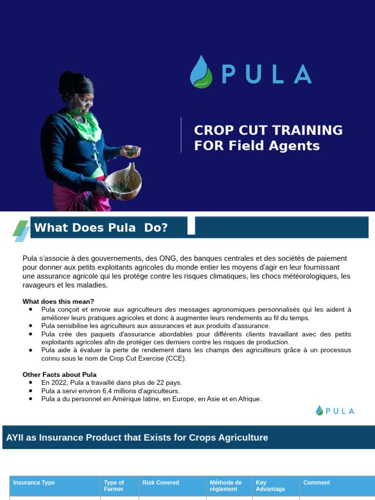 V2 Standardized Crop Cut Training For Enumerators | PDF