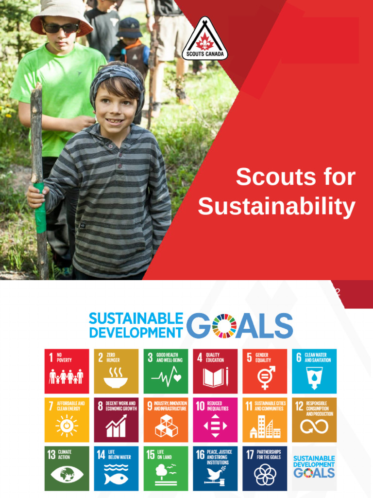 SROI SDG Intro | PDF