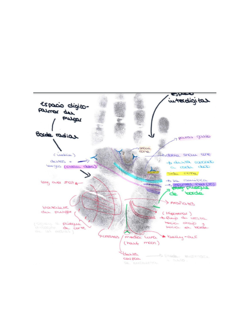 ejemplos quiroscopia | PDF